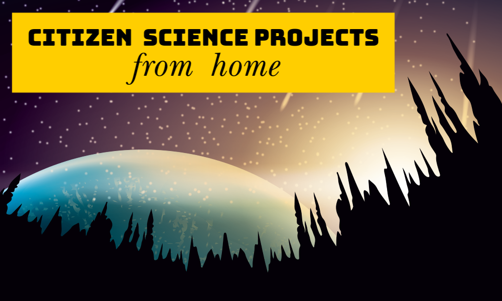 Apache Junction Public Library