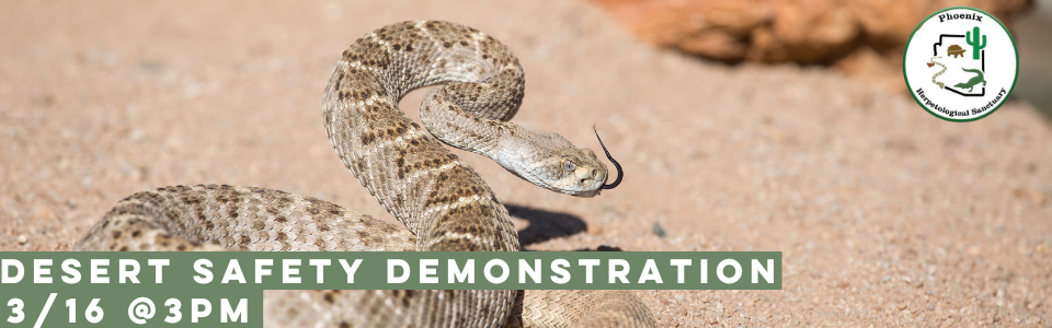 Apache Junction Public Library