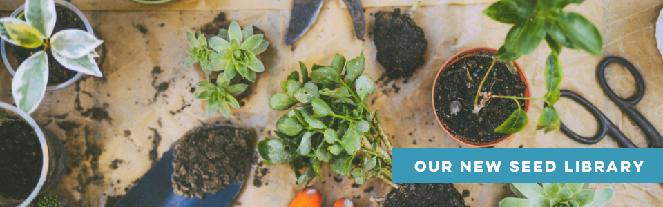 Apache Junction Public Library